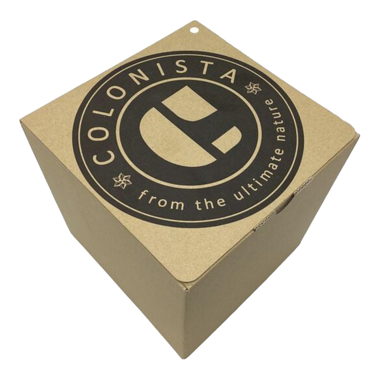 COLONISTA (コロニスタ) ランタンアクセサリー ホワイト CONPE10｜トレファクONLINE